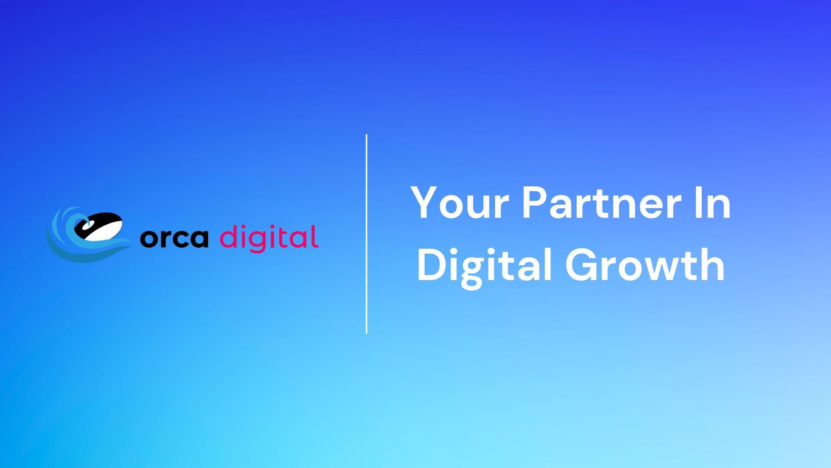 Performance-Driven Digital Marketing Agency - orca digital